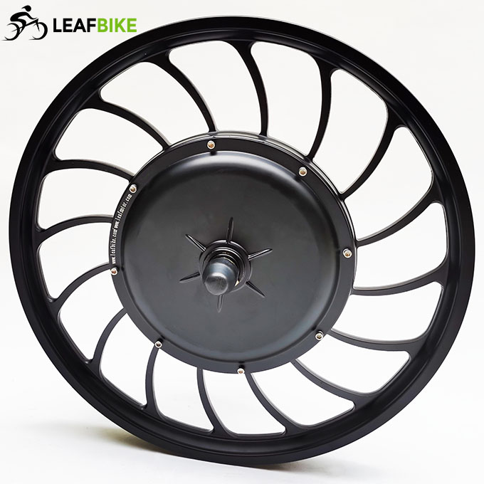 20 inch 48V 52V 1000W front casted hub motor electric bike conversion kit